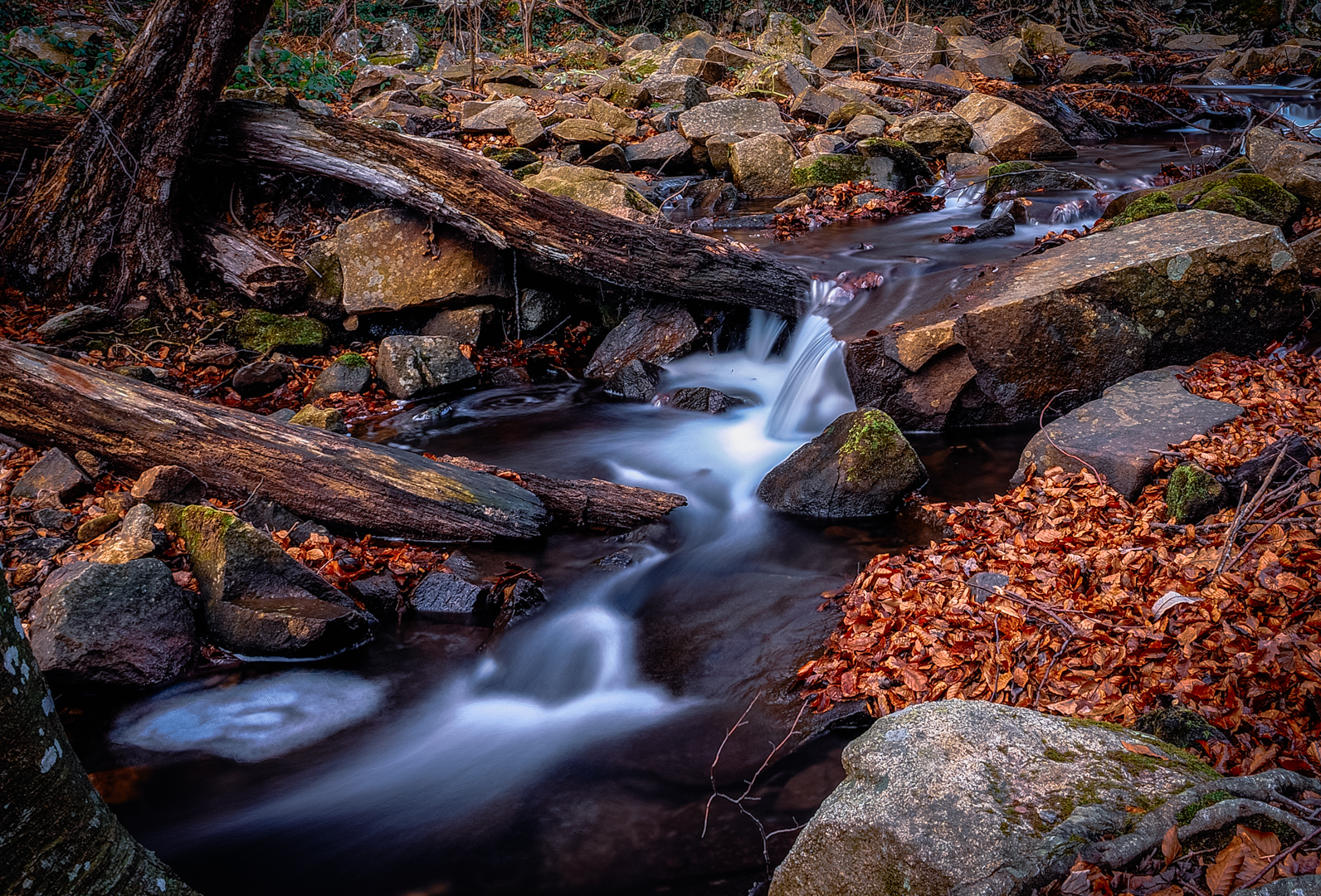 Gallery - JPhoto’s 514